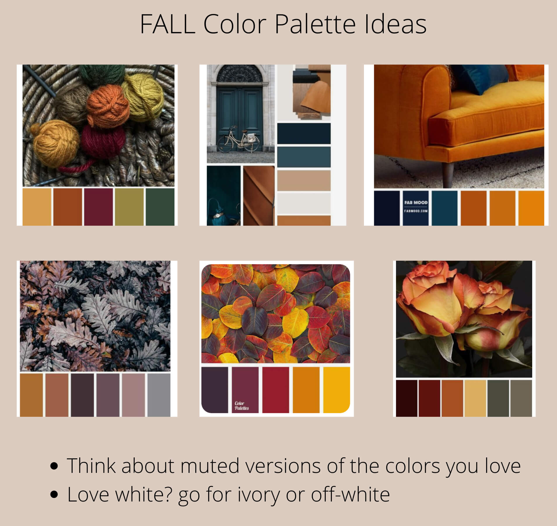 What to wear to your Fall Family Photo Session?