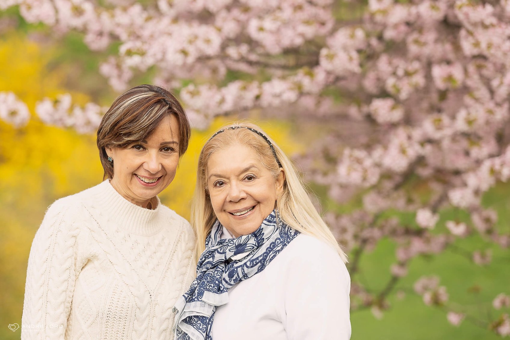 Capturing Timeless Bonds: Family Photography with Grandparents